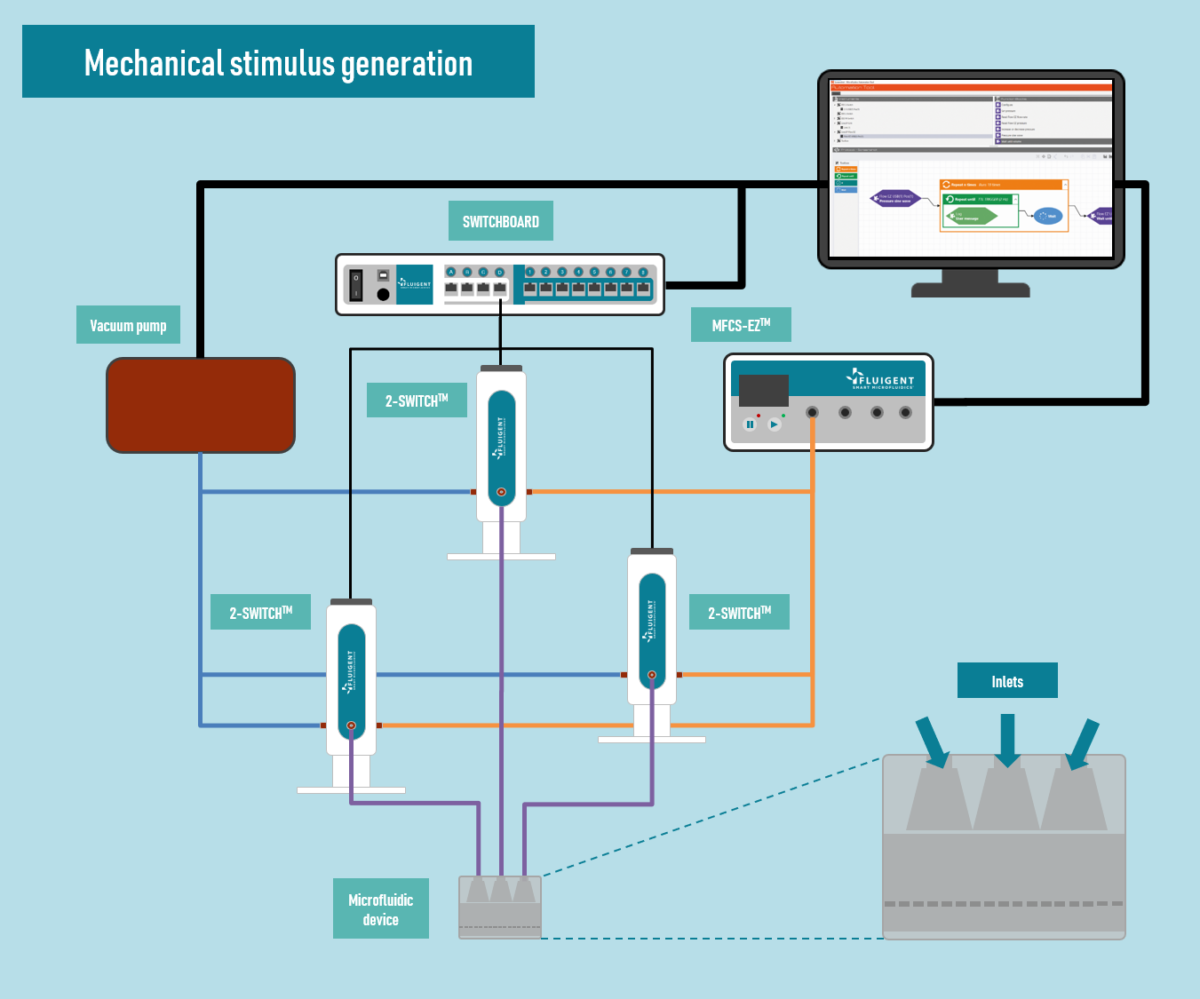 Cartilage on chip using Fluigent MFCS pressure controller - Fluigent