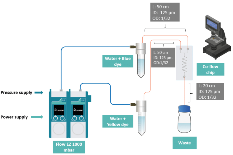 Introduction to microfluidics with our Educational Packs