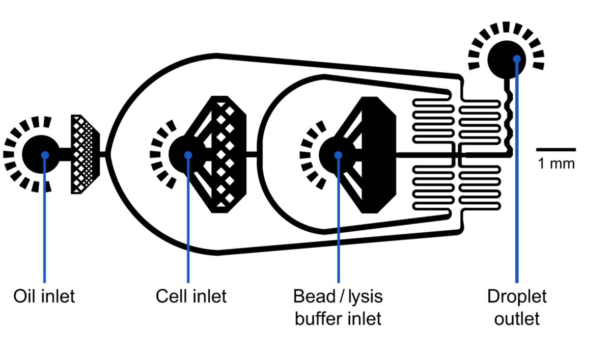 PDMS Drop-seq chip for Drop-seq experiments - Fluigent
