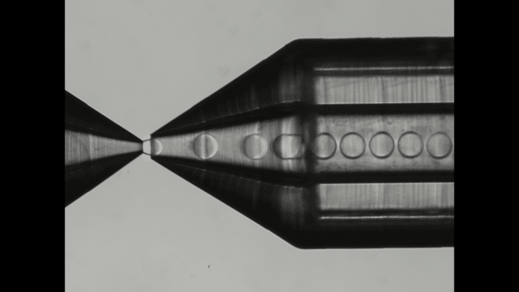 Microfluidic Single Emulsion Device - Fluigent
