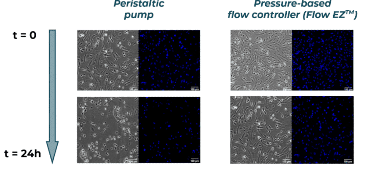 Flow control for Organ on Chip applications: Which Pump Is Better?