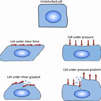 Flow EZ™, Most Advanced Microfluidic flow controller - Fluigent