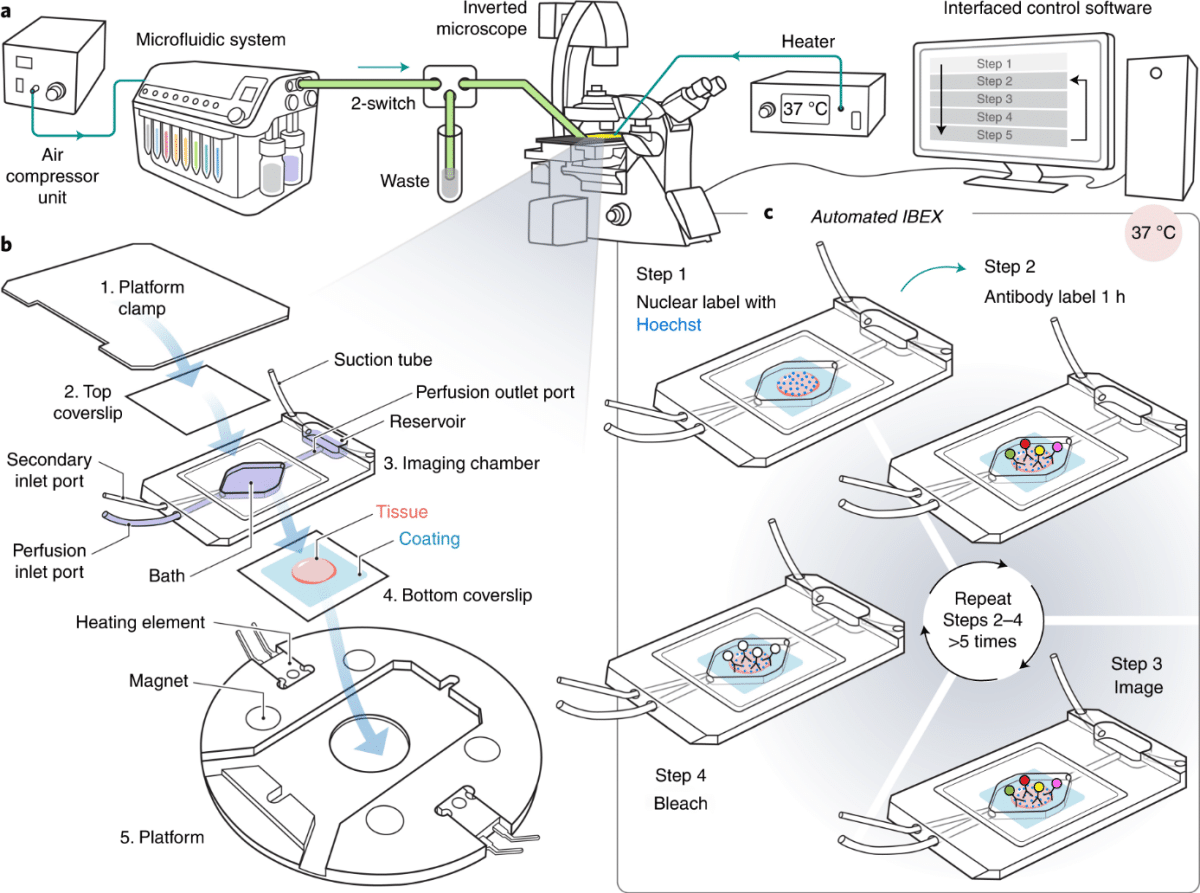 Paper highlights - Fluigent