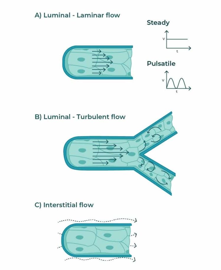 Why is it important to control shear stress in your microfluidic ...