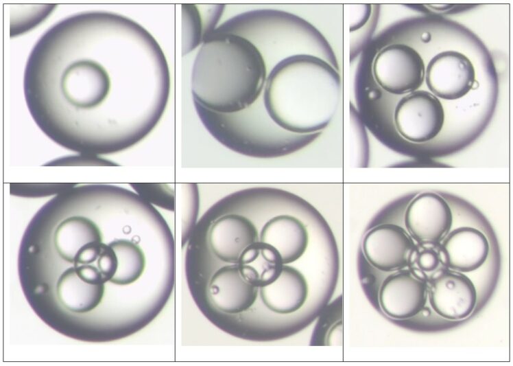 Encapsulation of multiple emulsions in a single droplet - Fluigent
