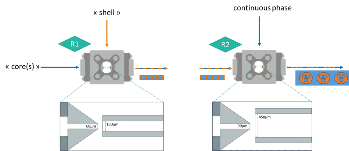 Encapsulation of multiple emulsions in a single droplet - Fluigent
