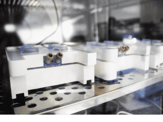 Omi, automated organ-on-chip platform - Fluigent