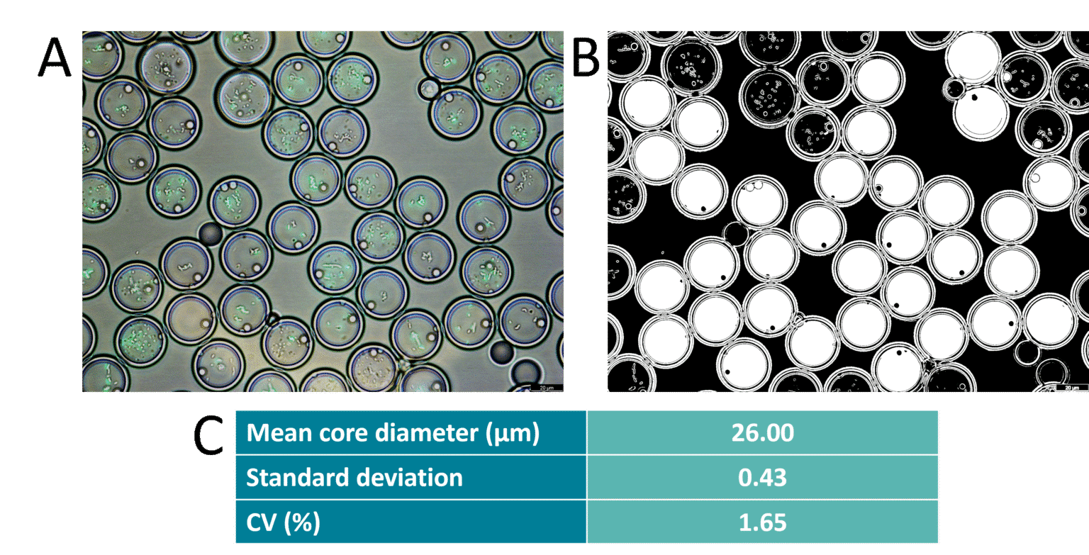 A quick and efficient double encapsulation method for FACS-based ...