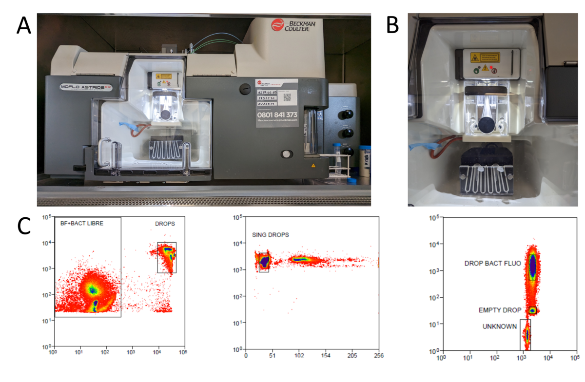 A quick and efficient double encapsulation method for FACS-based ... A quick and efficient double encapsulation method for FACS-based ...