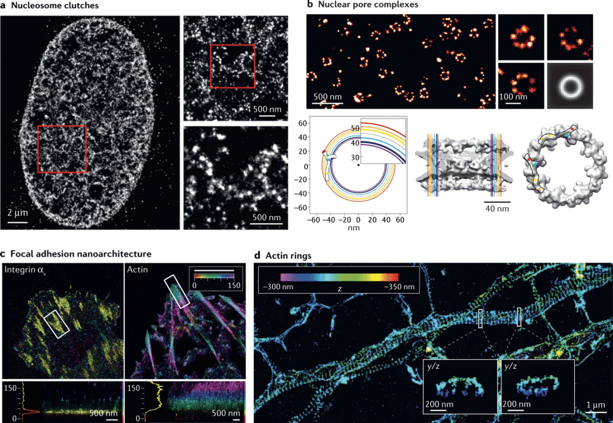 Localization Microscopy And Flow Control For Multiplexing Fluigent