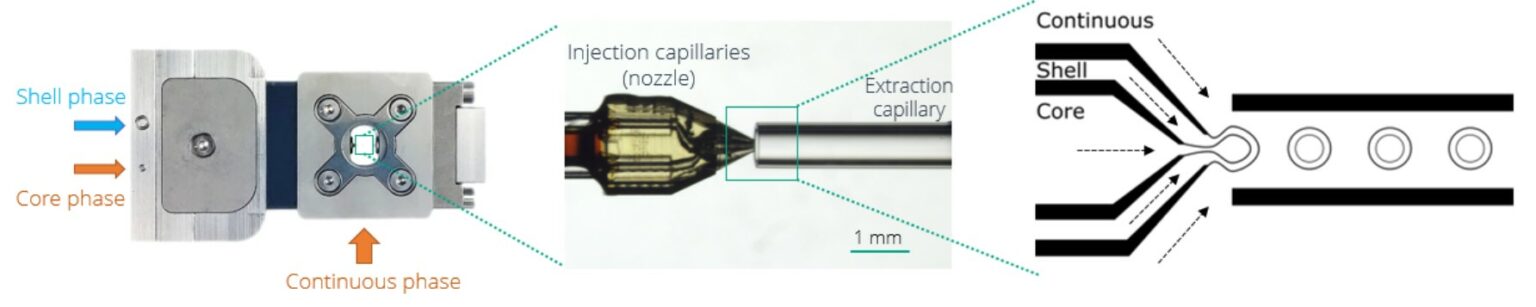A quick and efficient double encapsulation method for FACS-based droplet sorting - Fluigent