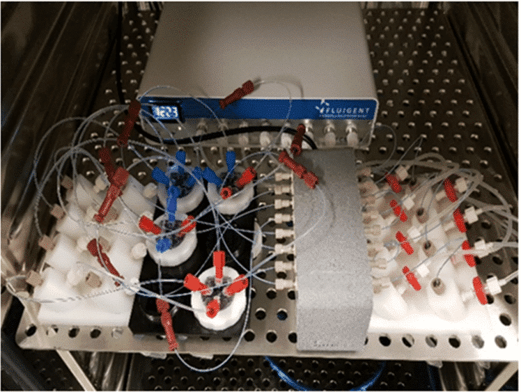 Microfluidic Cancer-on-Chip Platform by Erasmus MC - Fluigent