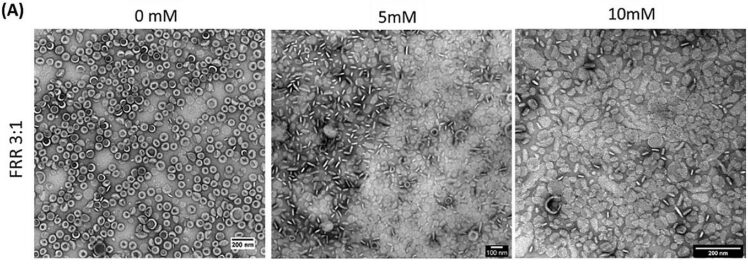 Drug-Loaded Liposome Preparation Using Microfluidics - Fluigent